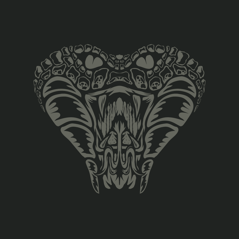 Snake Bite Vector Graphic Pack